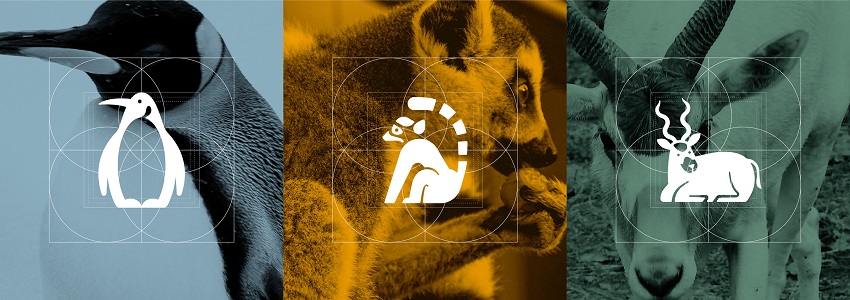 Inside the project Taipei Zoo Signage System with Fengworks Design ...