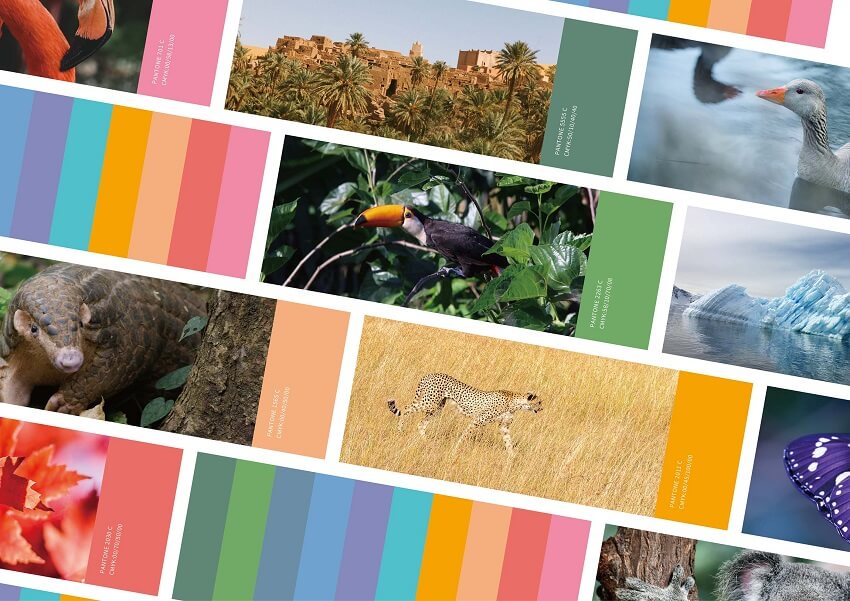 Inside the project Taipei Zoo Signage System with Fengworks Design ...